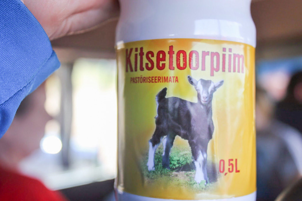 kitsepiim - Lõunaeestlane